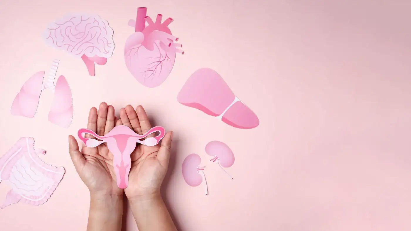 What Are the Causes of PCOS and How to Lower Risk – Inspiriko